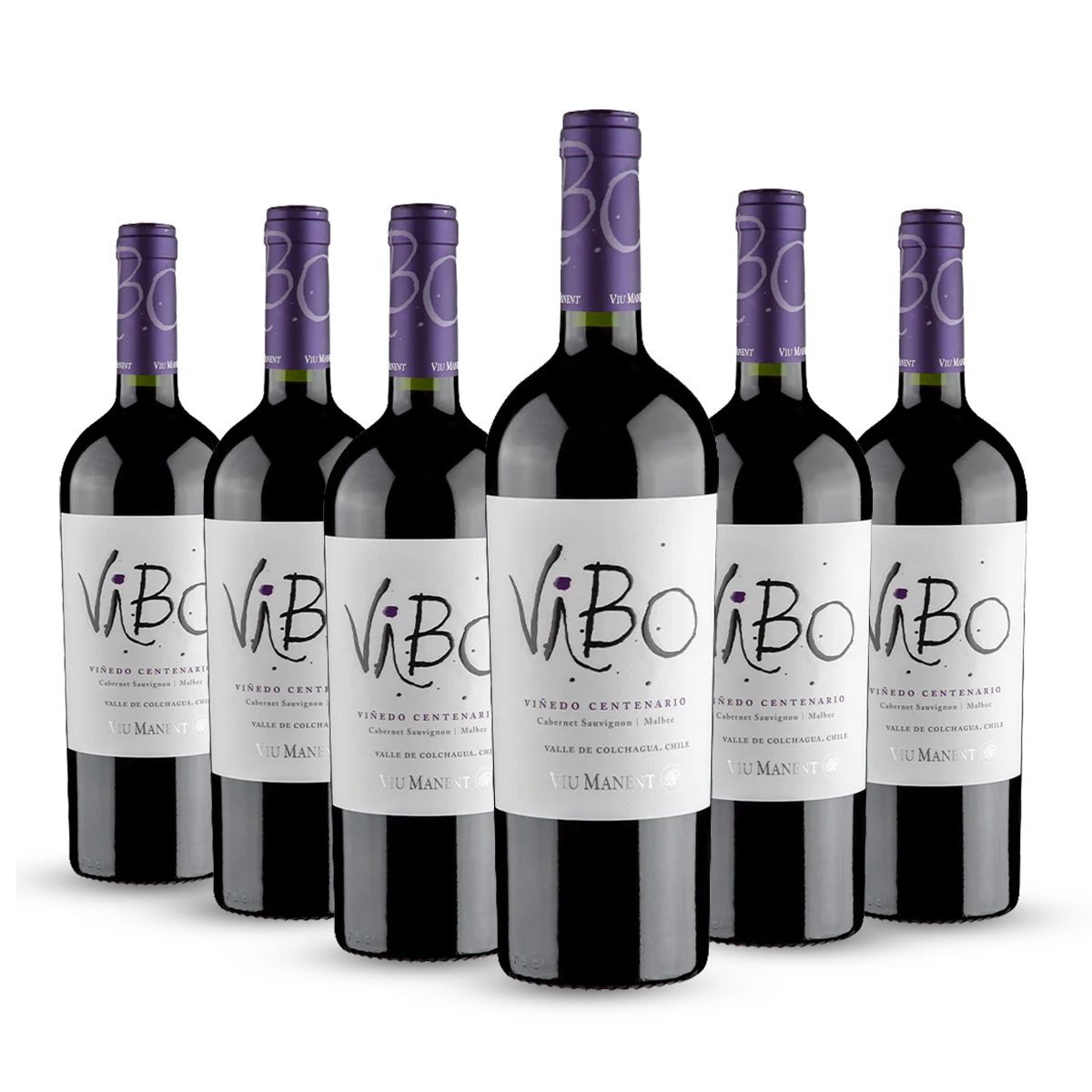 PACK 6 BOTELLAS VIU MANENT VIBO CENTENARIO – The Winery